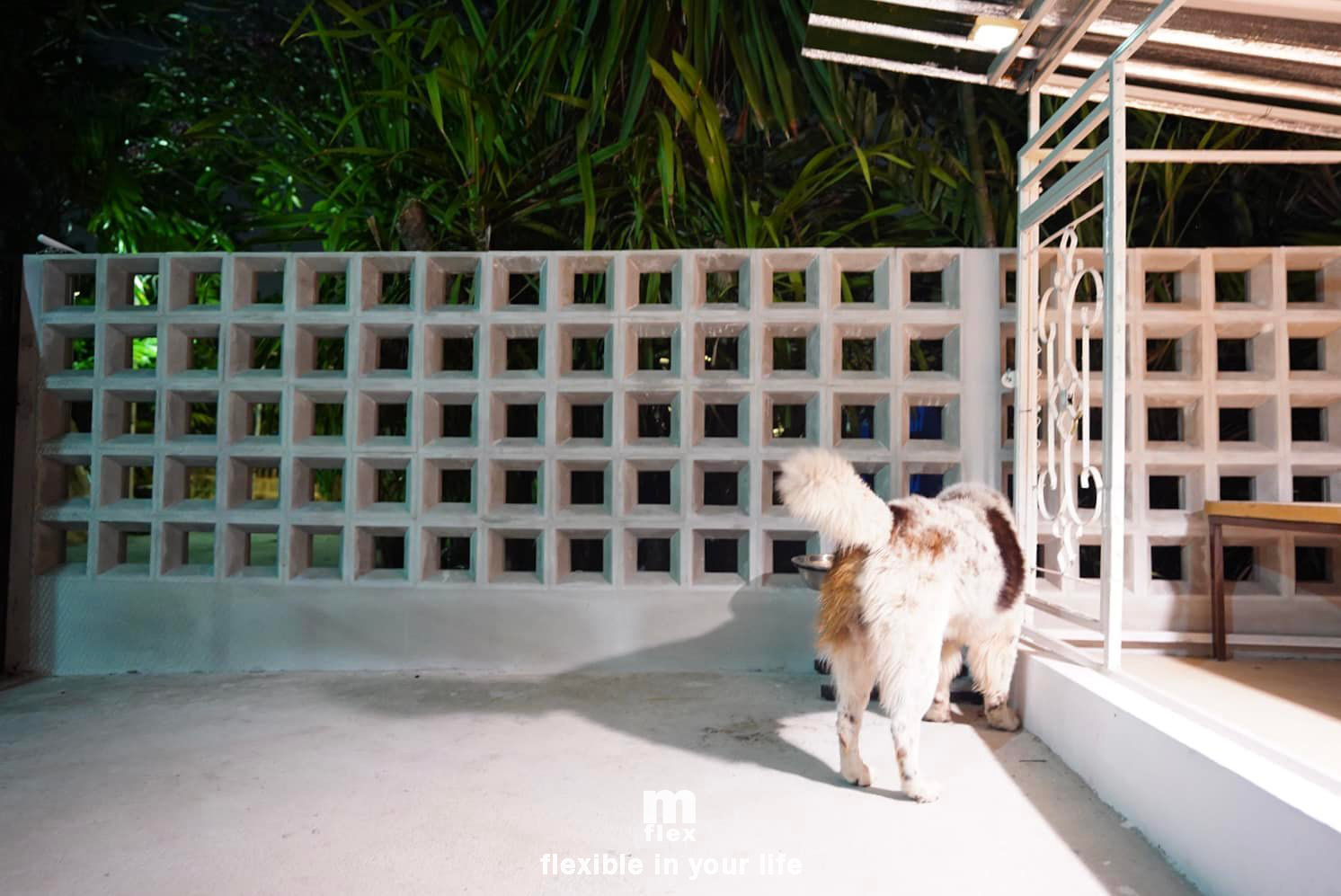 Square Slop 2 faces – mflex factory